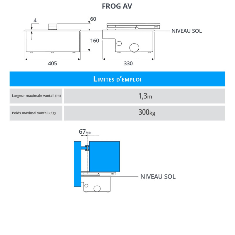 CAME FROG AV moteur enterré 230V avec caisson